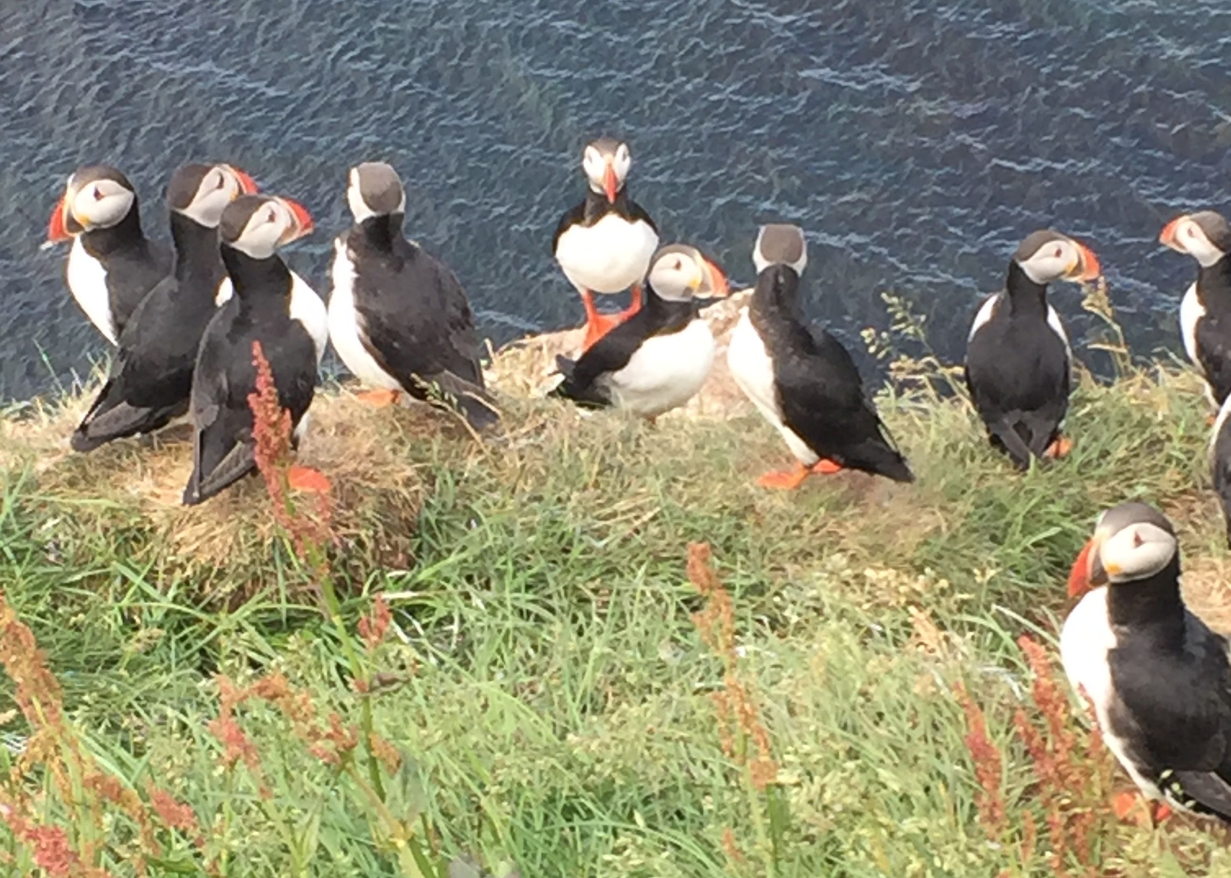 Iceland map showing attractions - Private guided tours Iceland